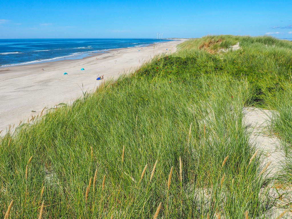 Hvide Sande an der dänischen Nordseeküste - Strand und Aktivitäten ...